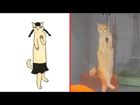 🤣Cat Memes: Funniest Animals 2023 - Drawing Meme🤣 Funny Cats and Dogs | Cat Memes