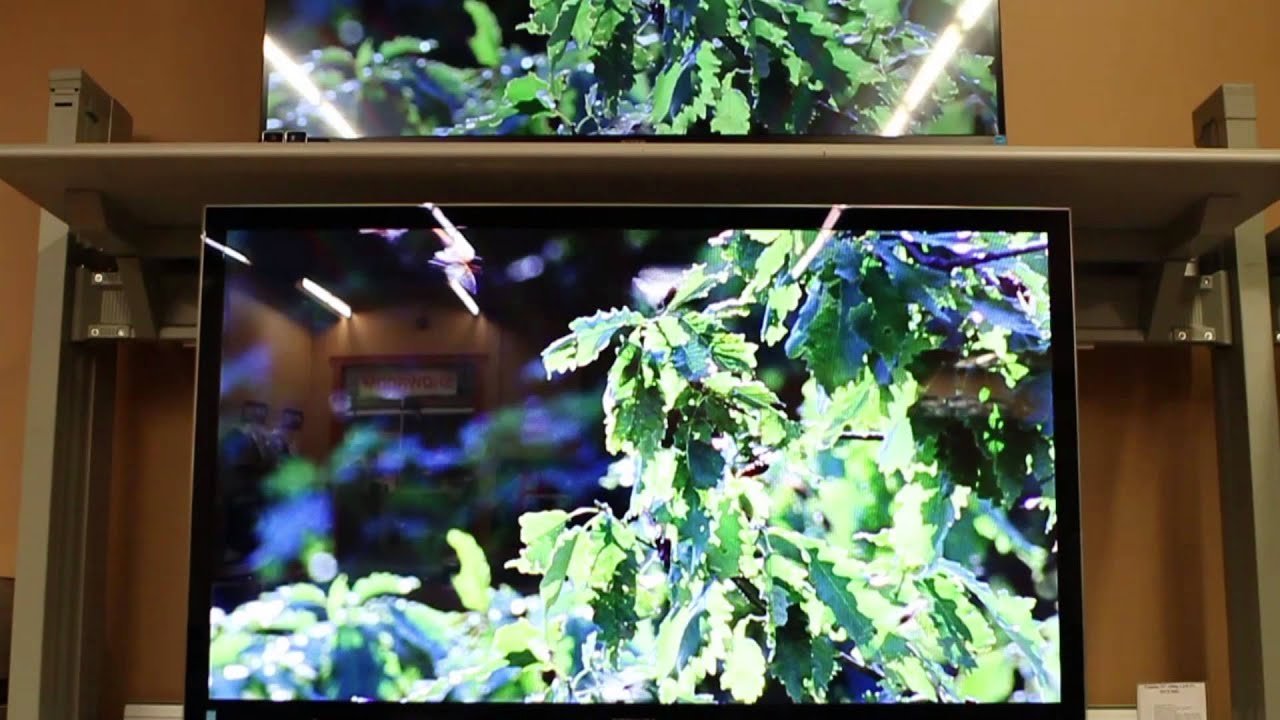 CCSI - Consumer Computer Services Inc - 3804 Victoria Park Ave, Toronto - (416) 502-3090