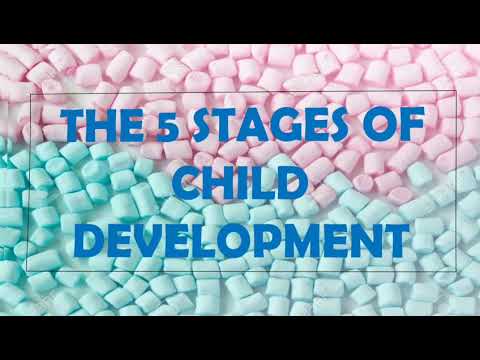 The 5 stages of child development