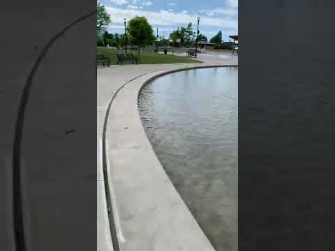 Things To Do Brampton | Chinguacousy Park Vlog Part 95 | Nature&TravelZM | #shorts #thingstodo