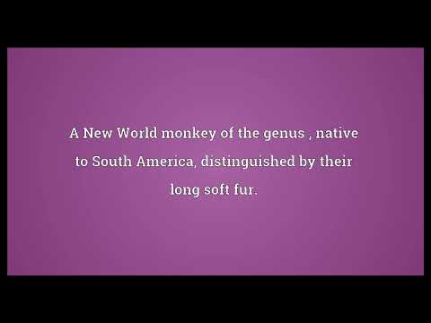 Titi Meaning