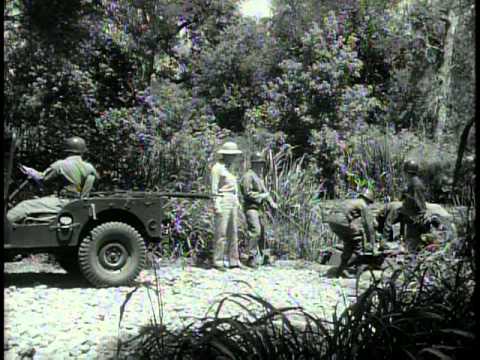 The Army Medical Service Corps - The Big Picture