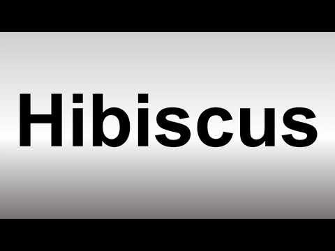 How to Pronounce Hibiscus
