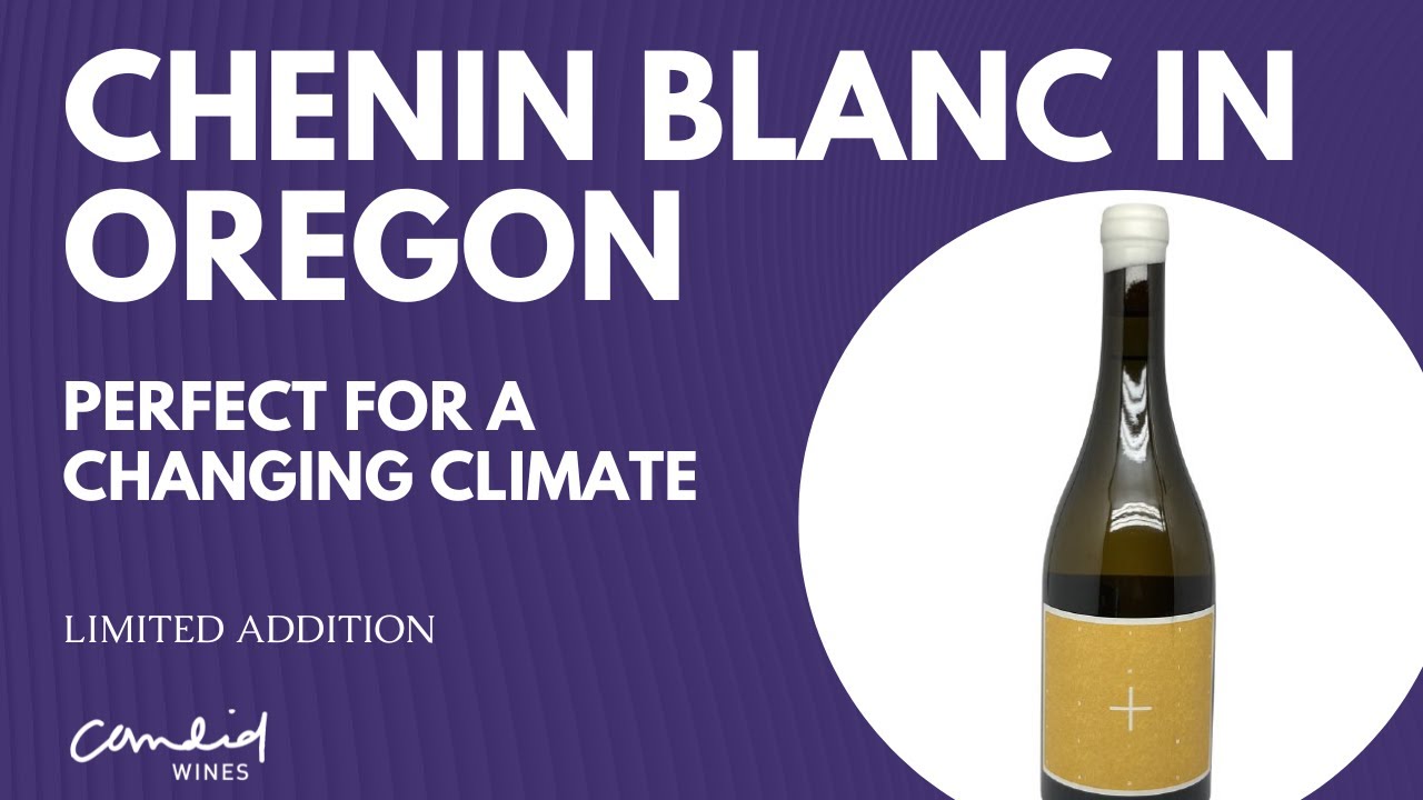 Chenin Blanc at Limited Addtion: A Master of Wine talks Changing Climate