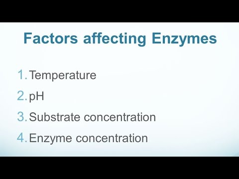 Factors affecting enzymes activity clearly Topic Explained