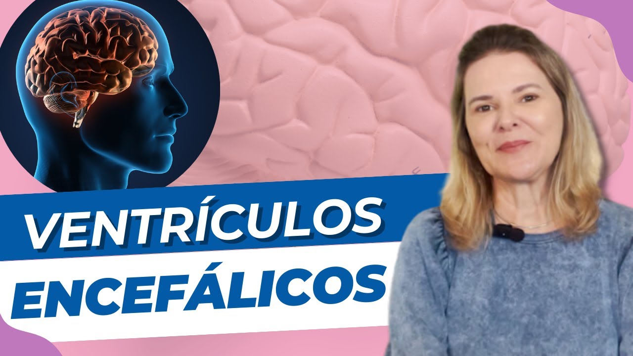Brain Ventricles | Anatomy for You