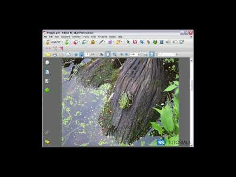 Convert images to PDF with Adobe Photoshop