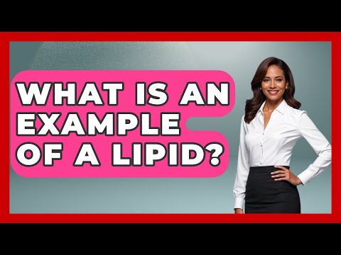 What Is An Example Of A Lipid? - Biology For Everyone