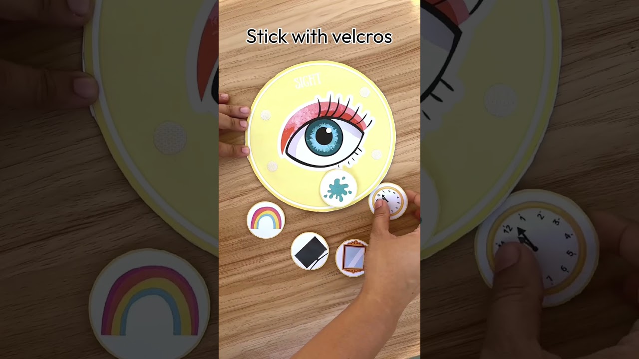 Five sense sorting activity for kids printable pdf