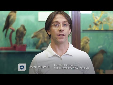 Sustainability at the University of Auckland - SDG 15 (Life on Land)