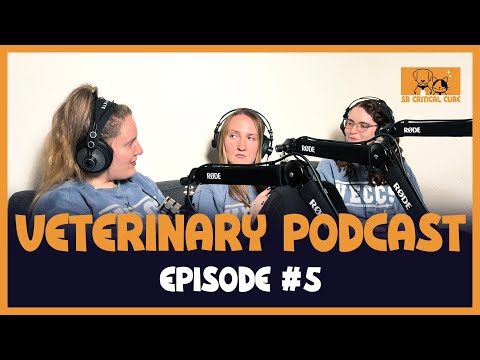 ETHICS IN VETERINARY CARE | SB Critical Cure Veterinary Podcast [Episode 5] #veterinary