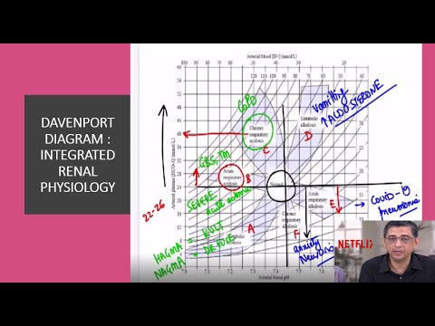 DAVENPORT DIAGRAM | INTEGRATED RENAL PHYSIOLOGY