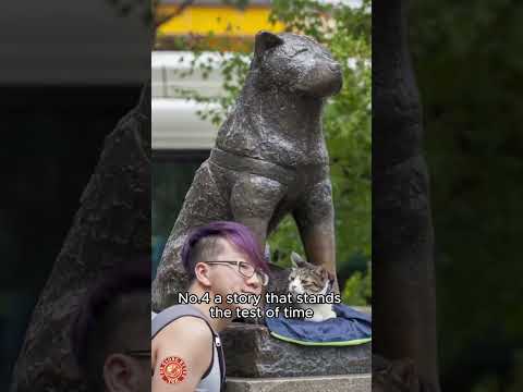 TOP 5 REASONS : Why Hachiko Statue is The Ultimate Shibuya Icon.