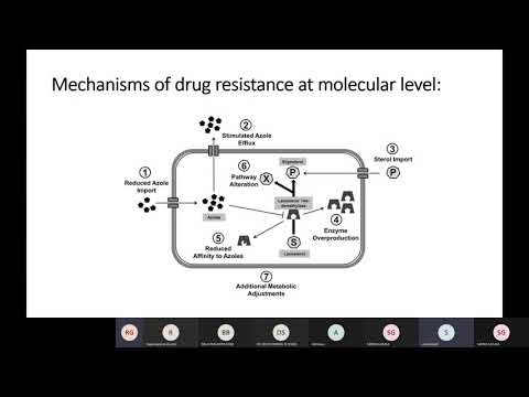 VORICONAZOLE Dr SONIA