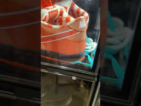 CONCEPTS NIKE SB DUNK LOBSTER SPOTLIGHT #shorts