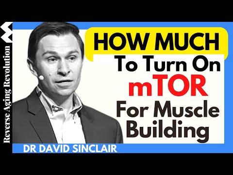 HOW MUCH To Turn On mTOR For MUSCLE BUILDING? | Dr David Sinclair Interview Clips