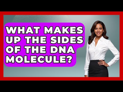 What Makes Up The Sides Of The DNA Molecule? - Biology For Everyone