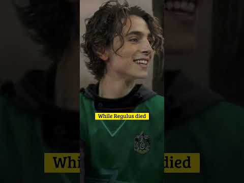 Did you notice these SIMILARITIES between SIRIUS AND REGULUS BLACK??
