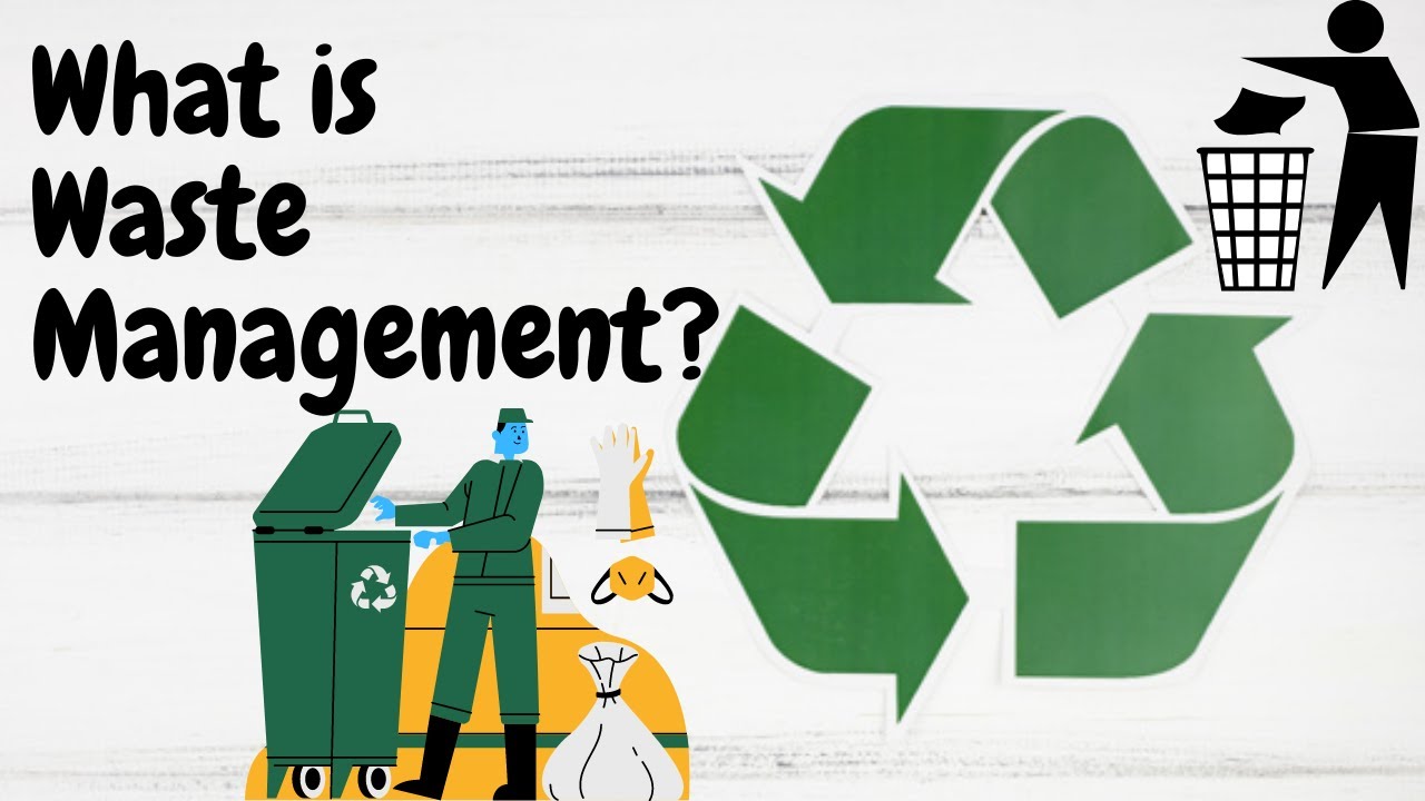 What is Waste Management? | Reduce Reuse Recycle | Environmental Science | Letstute