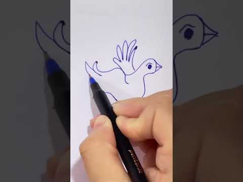 cute Pigeons