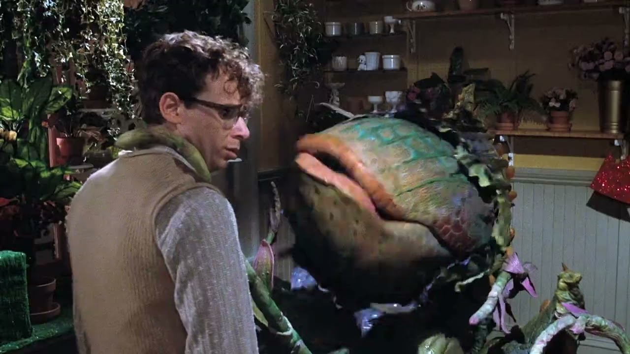 Little Shop of Horrors - 