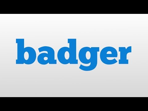 badger meaning and pronunciation