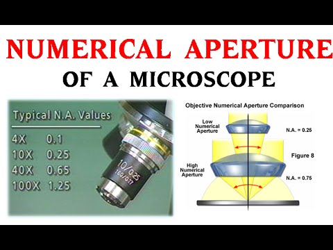 Numerical aperture of a microscope