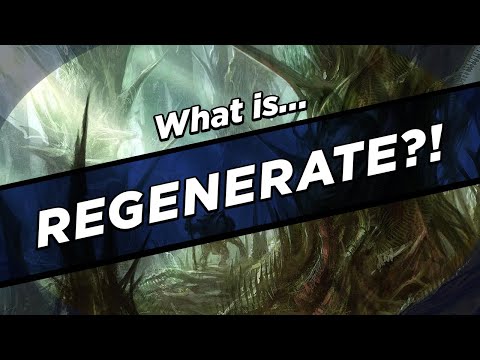What IS Regenerate?!