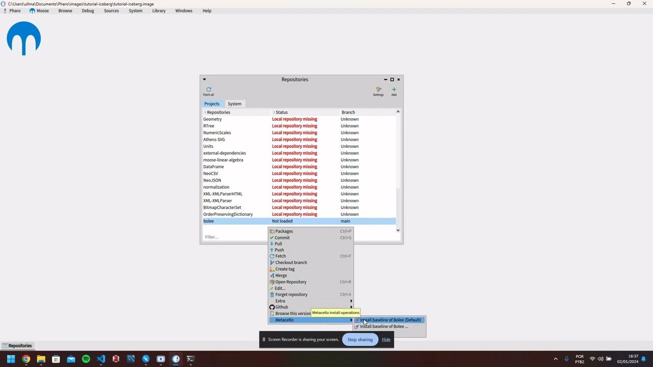 How to use Iceberg on Pharo