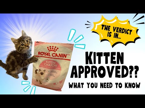 Amazon Finds - Kitten Food - Kitten Food Review - Royal Canin Kitten Food Review - Kitten Nutrition