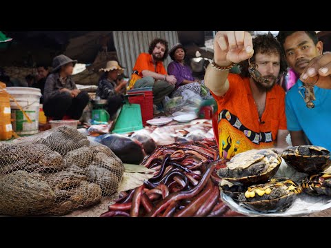 El mercado callejero más impactante que he visitado: CAMBOYA