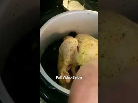 Ninja Foodi Pressure Cooker Air Fryer Whole Chicken #shorts #homesteading #chicken #nomgmo