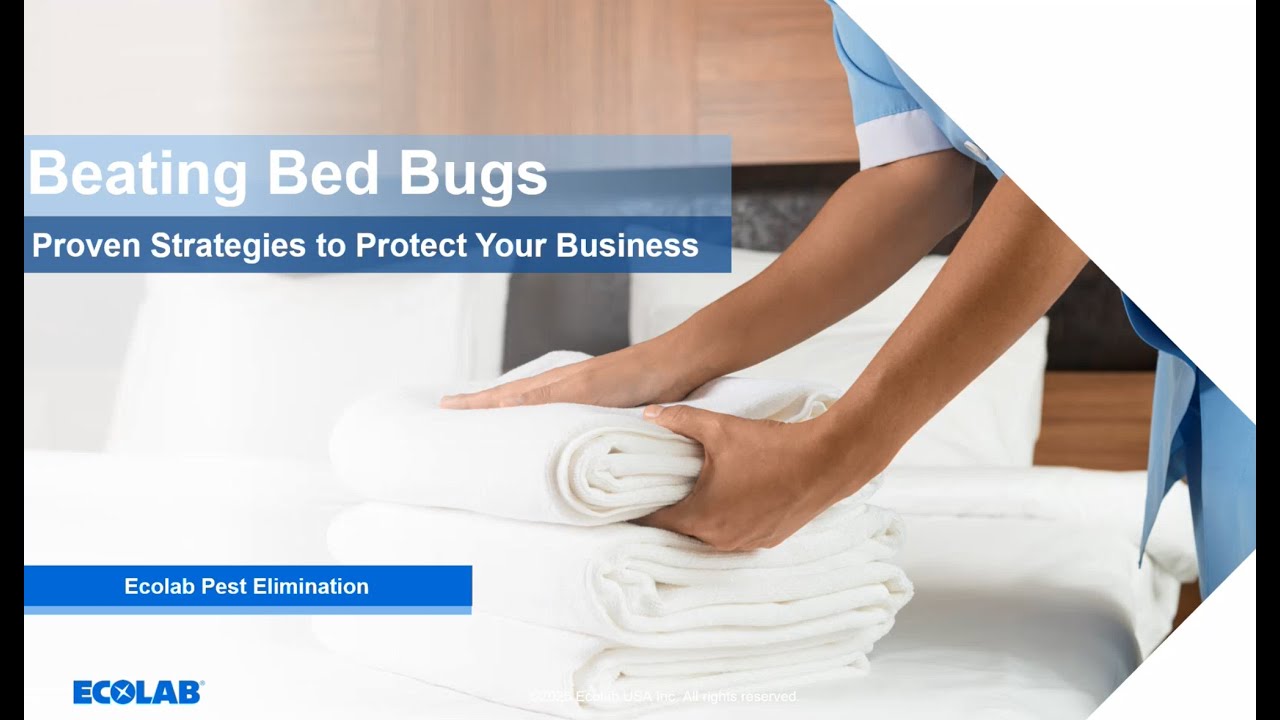 Beating Bed Bugs: Proven Strategies for Protecting Your Business