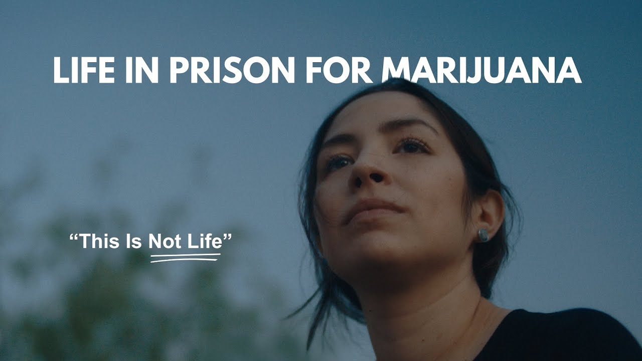 Life in Prison for Marijuana: A Personal Journey of Loss and Resilience ...