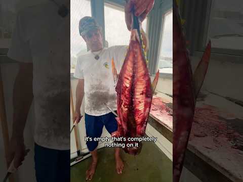 Good Ol’ Boy Gives Tuna Filet MASTERCLASS 🤯🤯