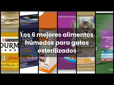 Comida humeda gatos esterilizados: Los 6 mejores alimentos húmedos para gatos esterilizados 🙂