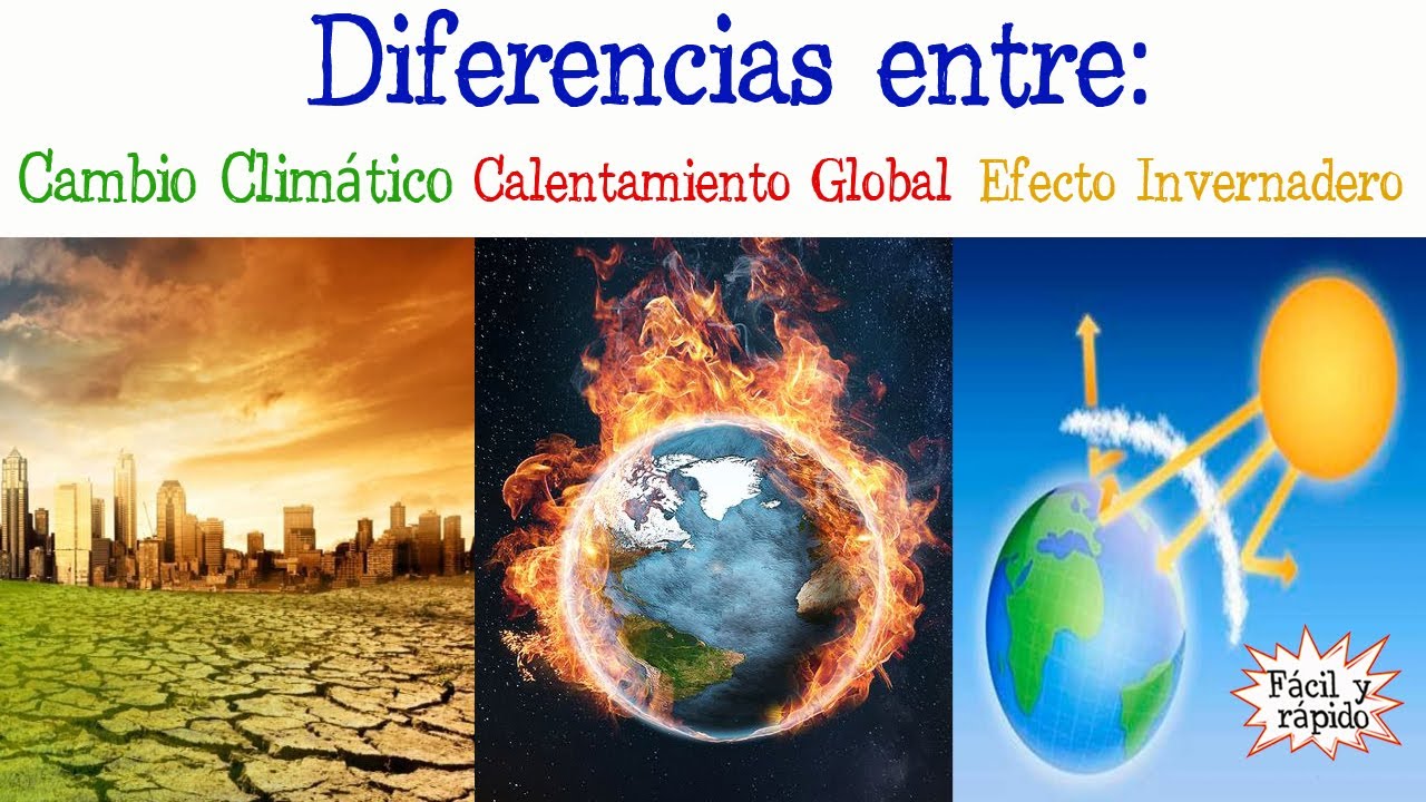 🔥Climate Change, Global Warming, Greenhouse Effect⛅️ [Easy and Fast] | BIOLOGY |