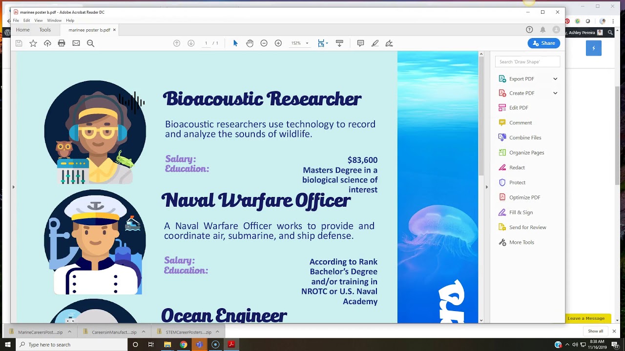 STEM Career Posters Bundle – 13 poster sets with interactive resources!