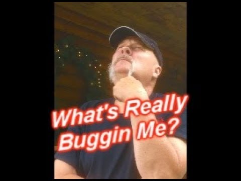 What's Really Bugging Me!
