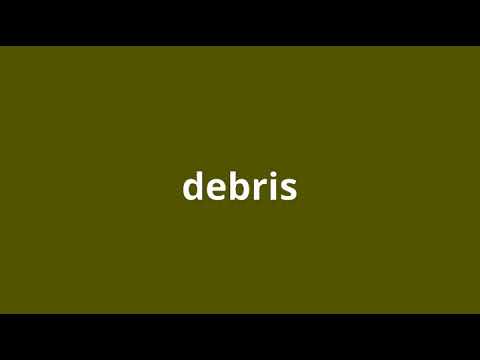 what is the meaning of debris