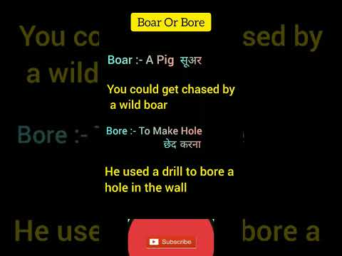 Boar Or Bore ? | Misused & Confused