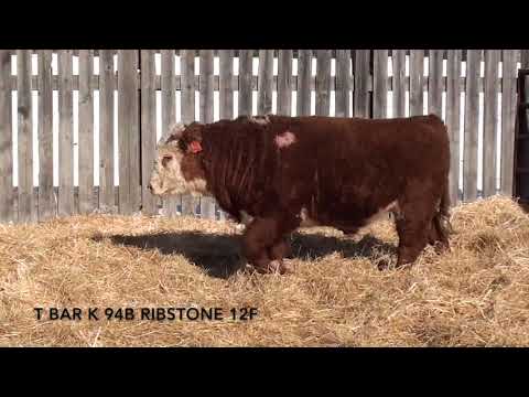 T-Bar-K 12F -T Bar K Ranch 2019.mp4