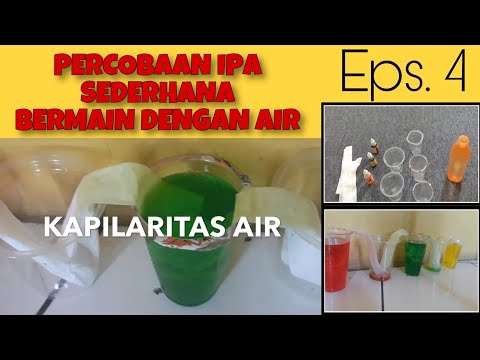 PERCOBAAN IPA SD (KAPILARITAS AIR) | BELAJAR AKTIF DAN KREATIF DI RUMAH Eps. 4
