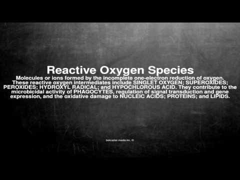 Medical vocabulary: What does Reactive Oxygen Species mean