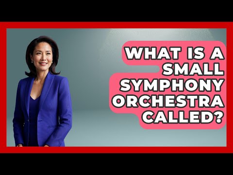 What Is A Small Symphony Orchestra Called? - Classical Serenade
