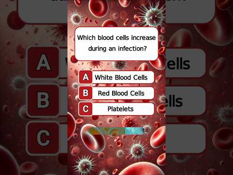 Which blood cells increase during an infection? #quiz #trivia #trending