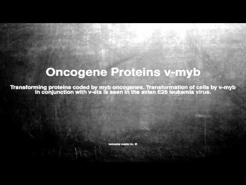 Medical vocabulary: What does Oncogene Proteins v-myb mean