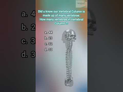 How many vertebrae in Vertebral Column ??