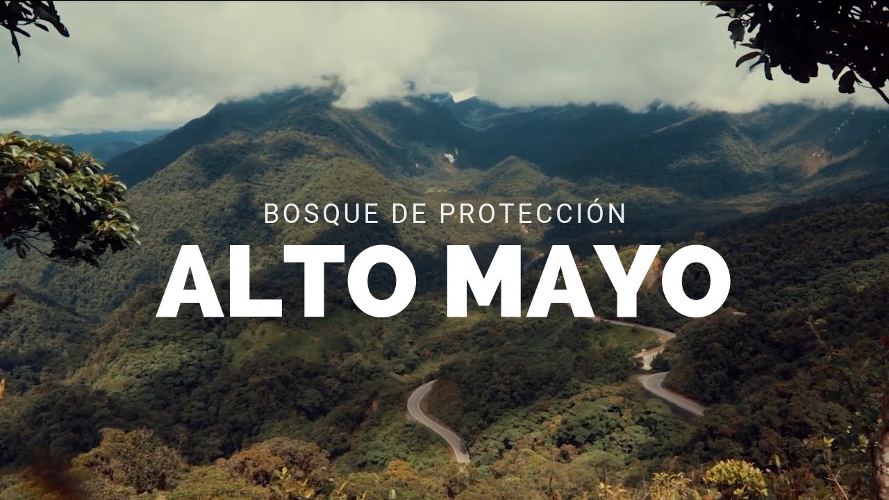 15 Parques Nacionales del Perú que todo amante de la naturaleza debería ...