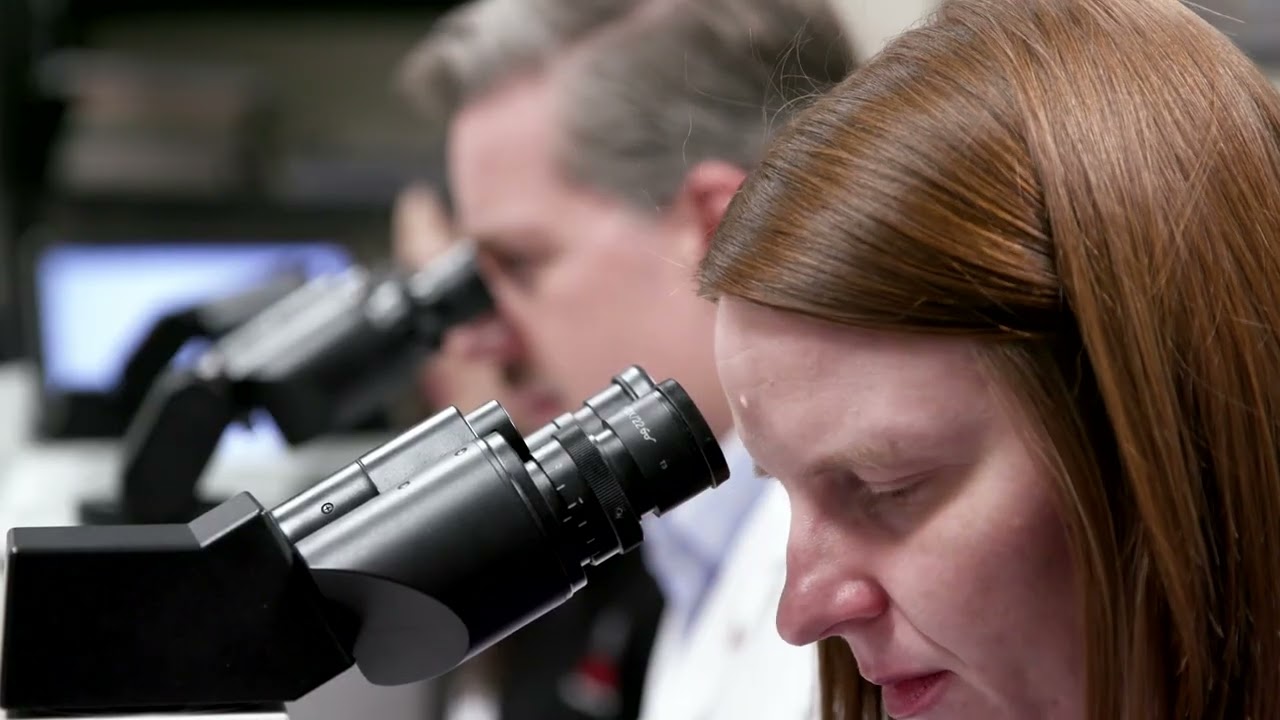 Hematopathology Fellowship Program